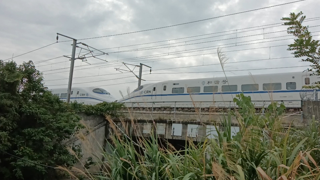 CRH2C-2109和CRH2C-2108重联担当G7389次列车(南京-衢州)高速...