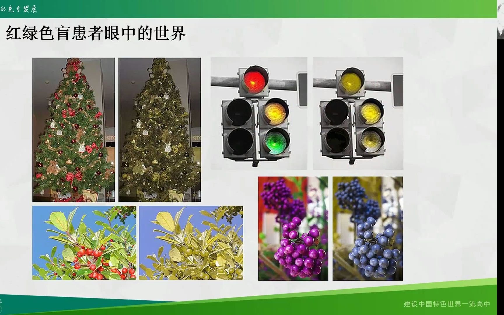 20220319伴性遗传