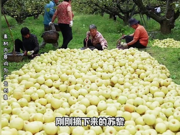 "清肺润喉的秋梨膏"