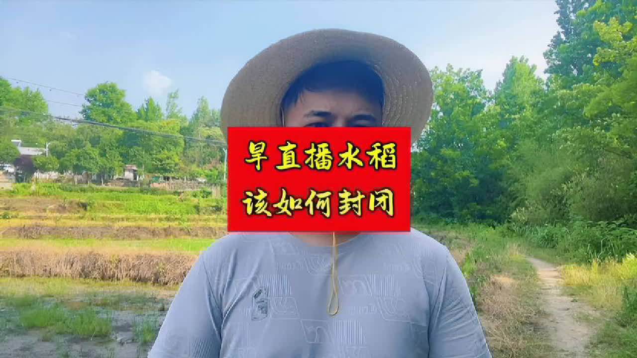 旱直播水稻该如何封闭呢?视频最后的5个坑,千万不要踩!