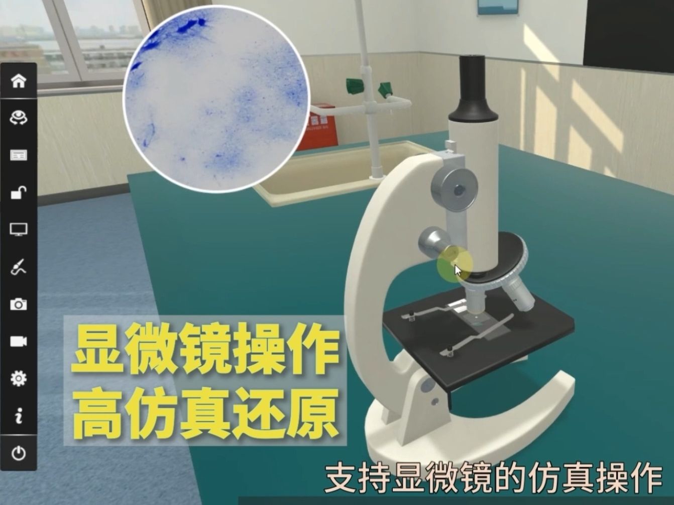 橘老师课堂第933期【高中生物】观察神经细胞永久装片