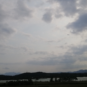 墨西哥烧饼 