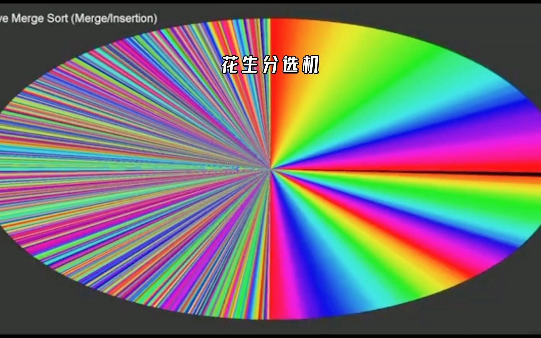 花生自动分拣机,专业快速准确分类花生