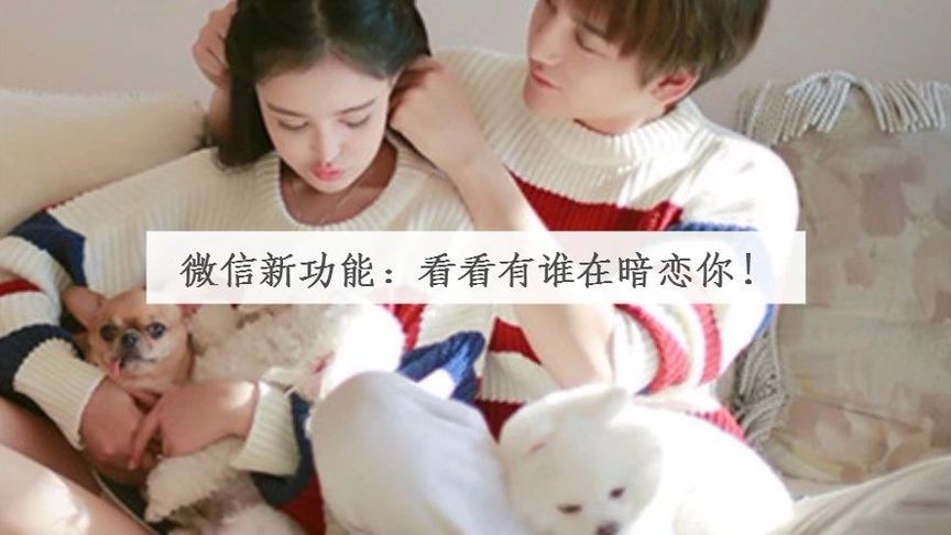 微信新功能:终于可以看到有谁暗恋你了!