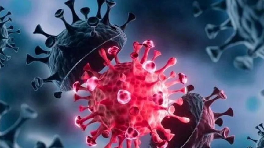 震惊!新冠病毒为美国制造?环球时报揭露美国研究冠状病毒真相