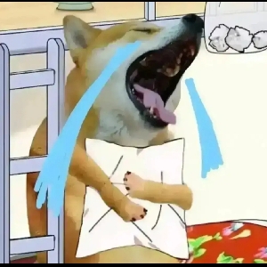 狗界大事件 