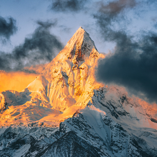 打不过表哥的屑仲裁人 