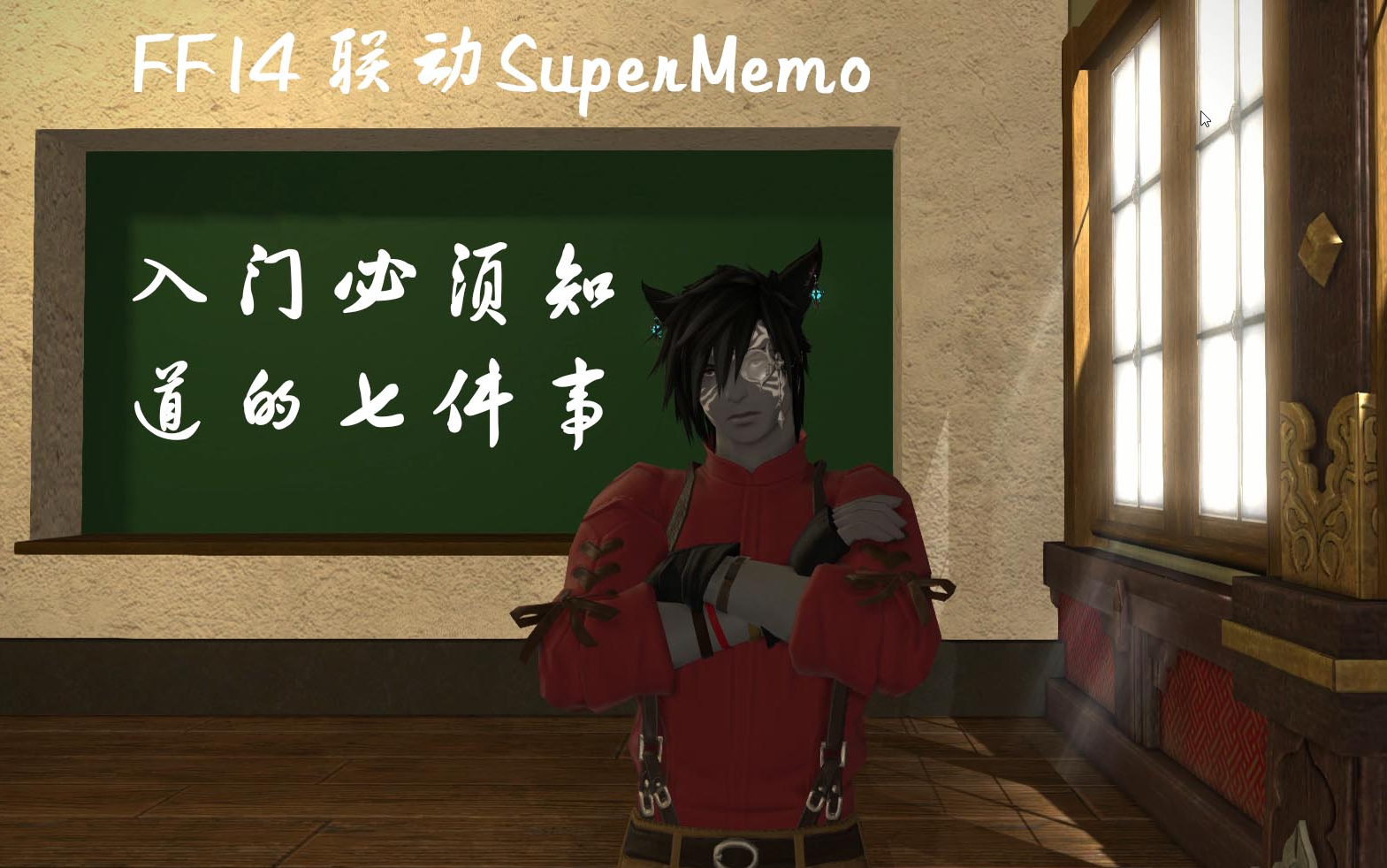 「记忆软件X最终幻想终极联动」猫男出道?SuperMemo在入门时就...