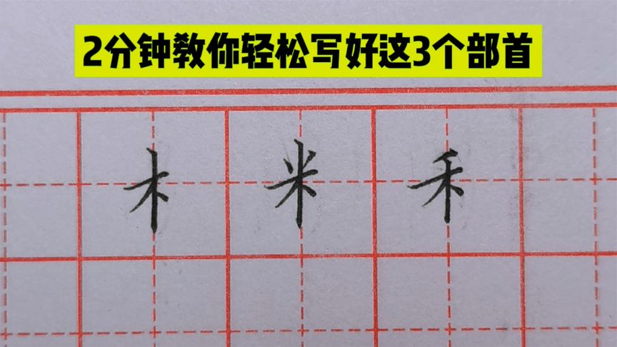 听老师2分钟给你讲解清楚木字旁、米字旁、禾木旁的书写技法