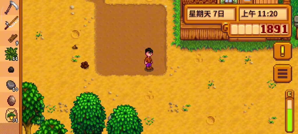 从零开始的星露谷第七天:完成任务,开一片地种防风草致富如何?_哔哩...