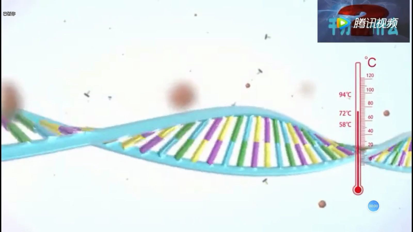 视频-PCR讲解