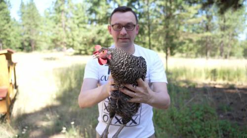 鸡头稳定性有多强?摇晃时一动不动,顶级摄像机都得向它学习