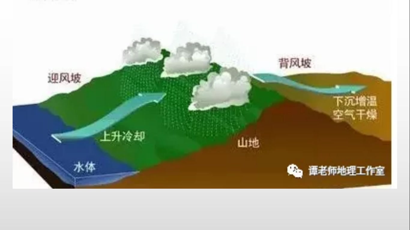 降水的四种类型