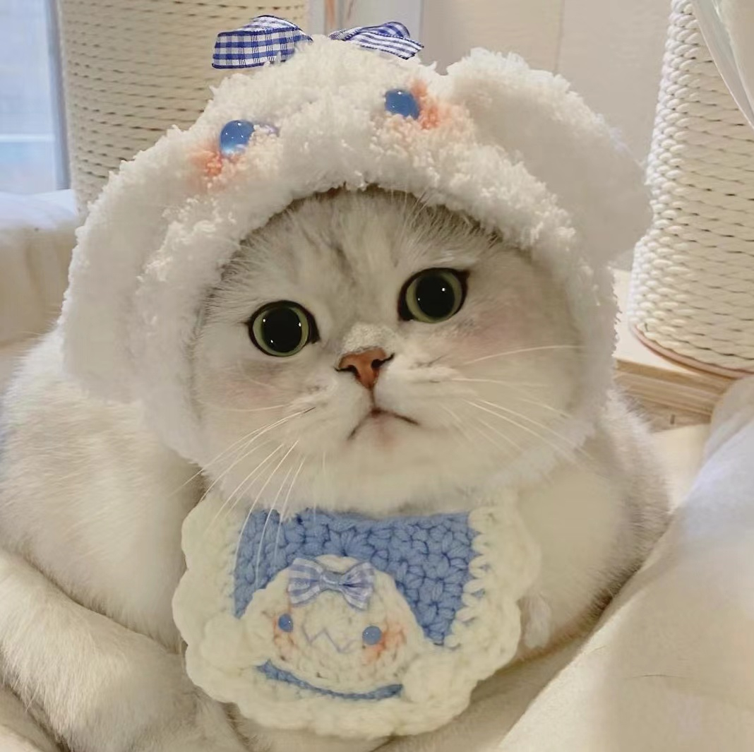 会计三色笔记 