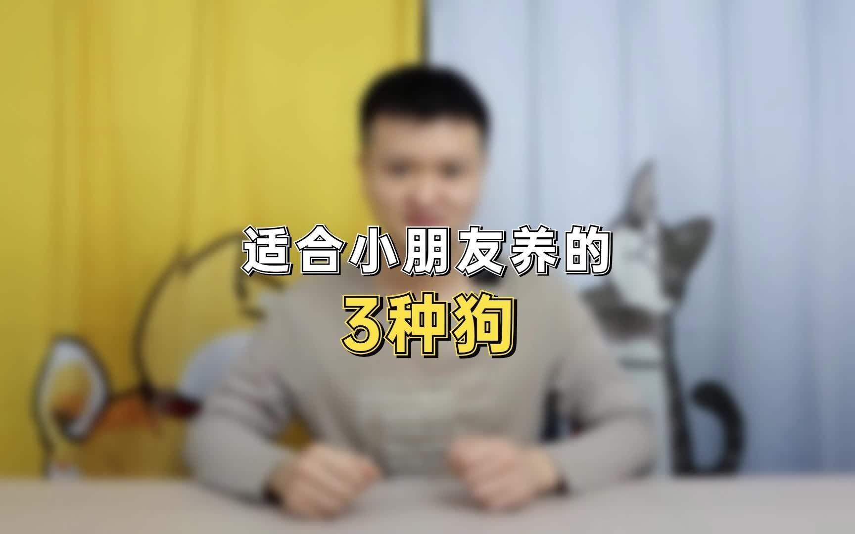 适合小朋友养的3种狗!