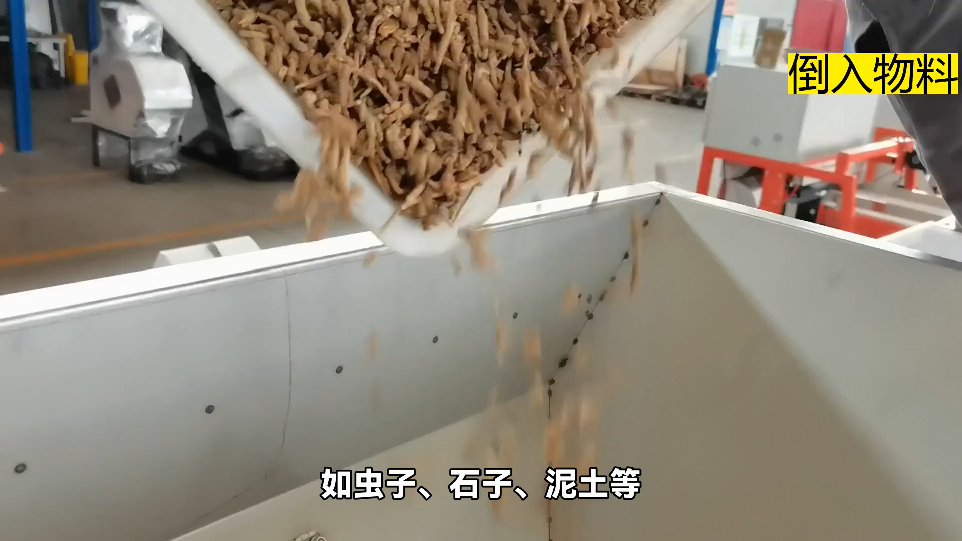 莲子筛选机在中药材加工行业中的重要作用