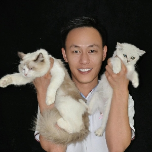 大欢撸猫 