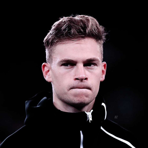 一名忠实的拜仁球迷 