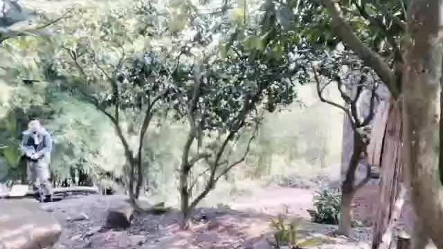 中华武技,飞针暗器!