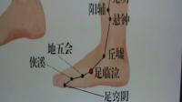 11足少阳胆经原、络输穴.MPG