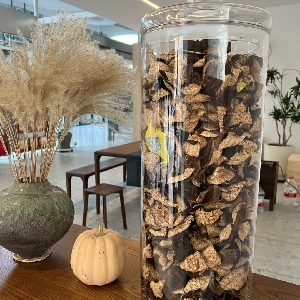 新会陈皮大赏 