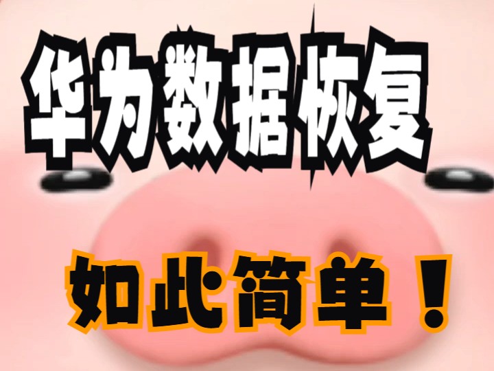 鸿蒙华为手机数据恢复