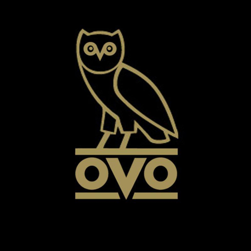 在视频通话中的猫头鹰 