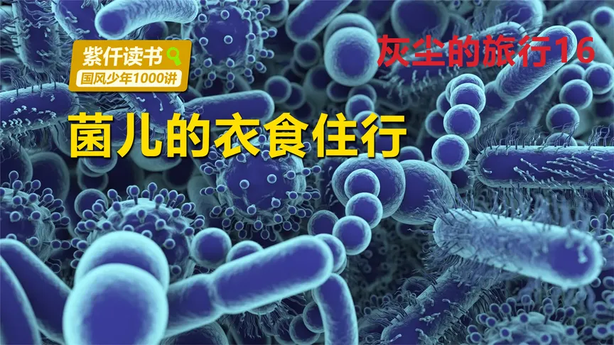 灰尘的旅行16:细菌也少不了衣食住行,只是没人类那么讲究而已
