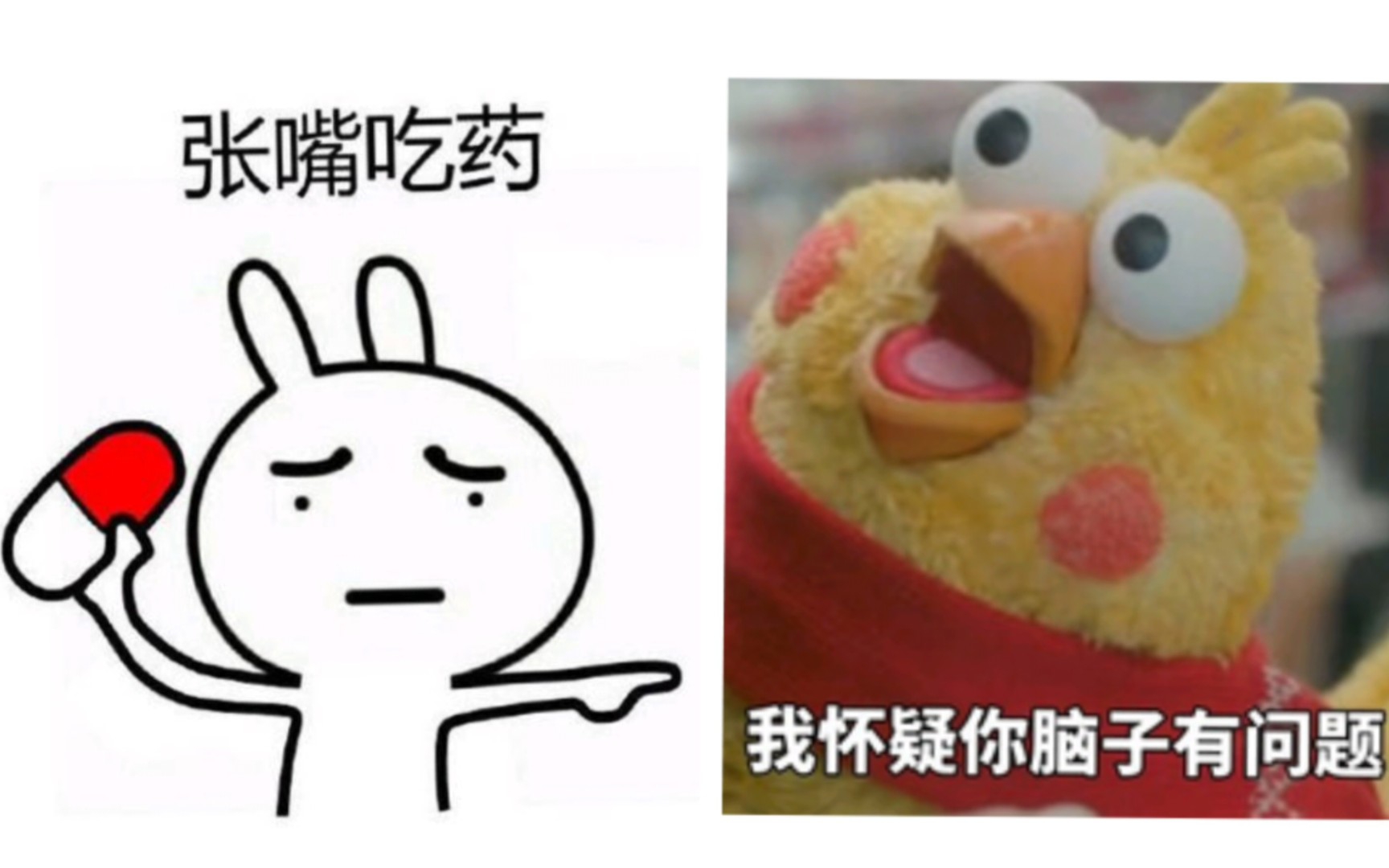 【鹦鹉】日常用药的四大种类