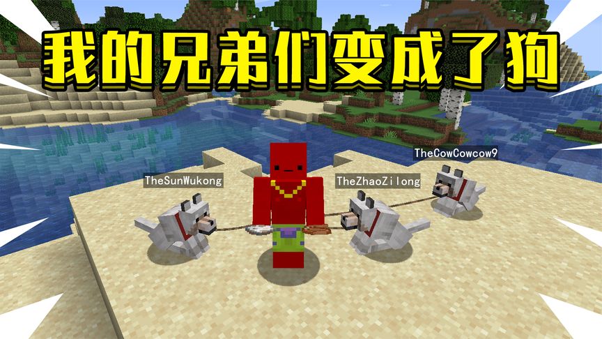 我的世界 我把我的小伙伴都变成了狗!?该怎么通关!?