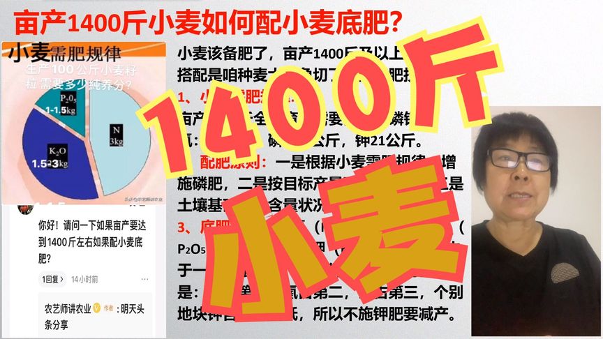 小麦亩产1400斤的底肥配方农艺师讲农业」
