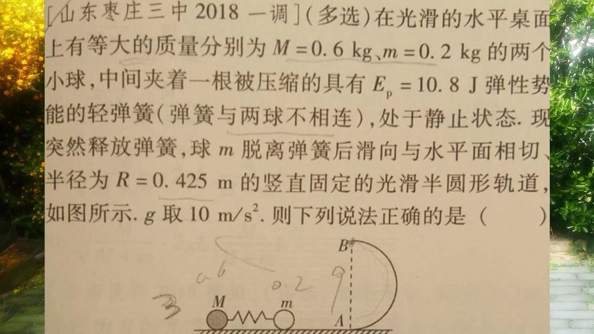高中物理动量守恒,不计算快速搞定复杂选择题