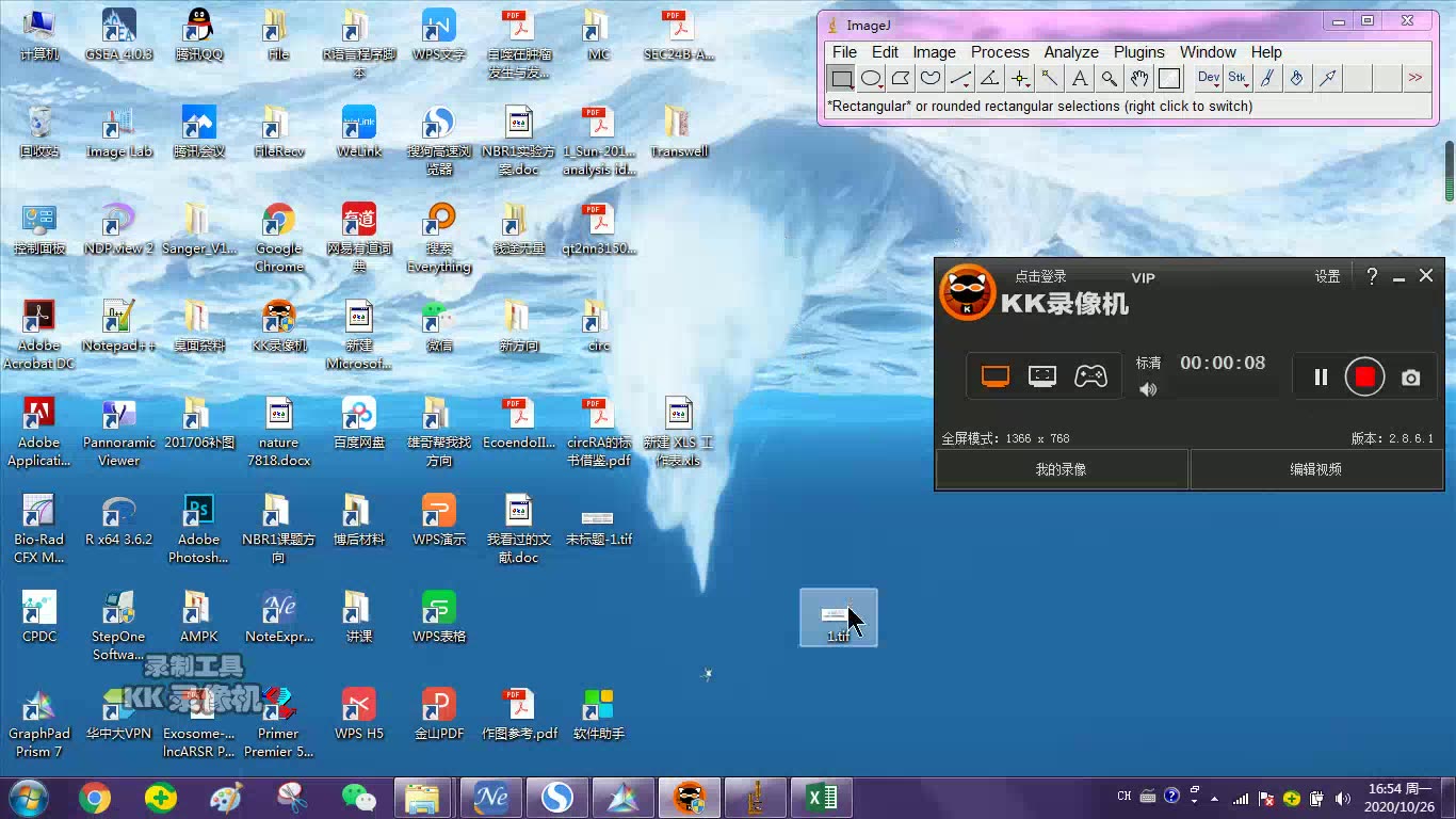 Image J灰度分析WB条带