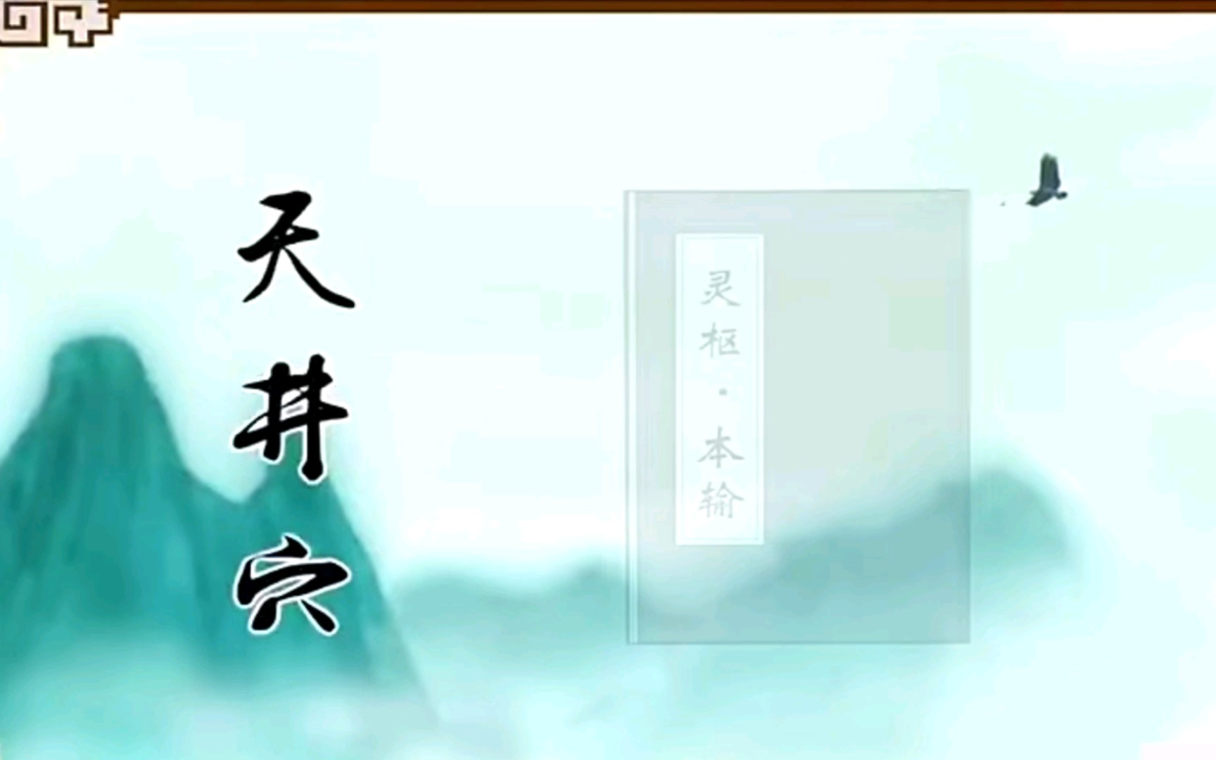 0基础自学中医-快速记忆穴位-三焦经(一)
