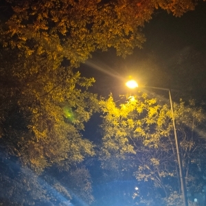 小廖来了了 