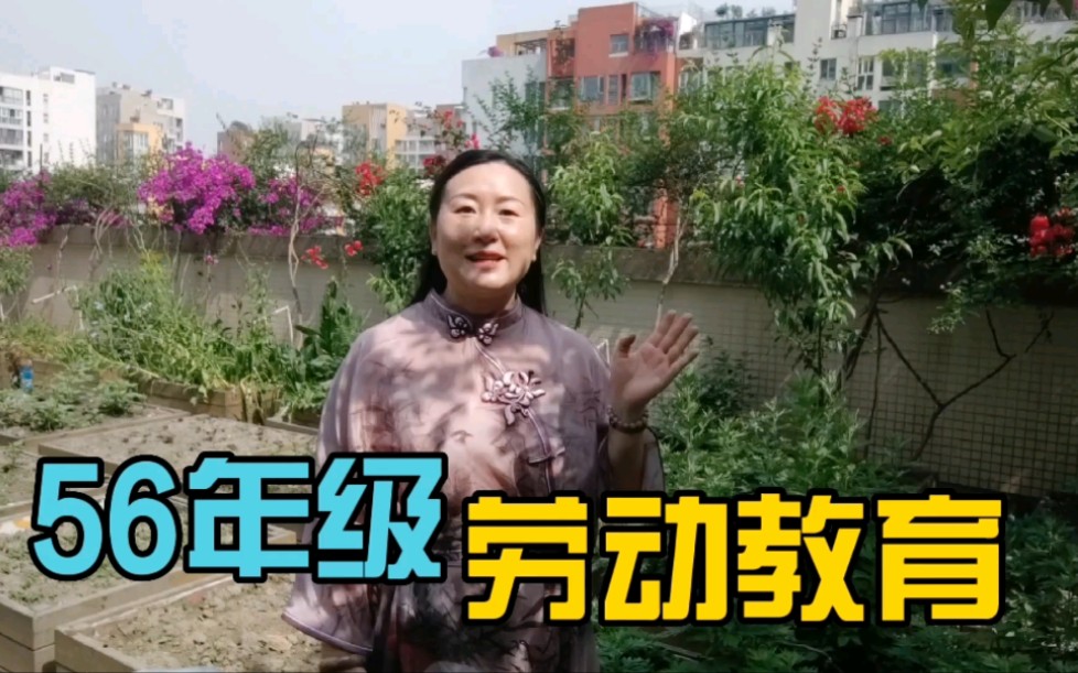 56年级劳动教育内容越来越有意思了