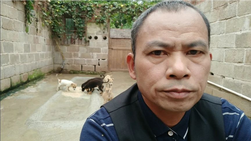 跟大家讲讲狗狗病了,治疗当中遇到的问题。