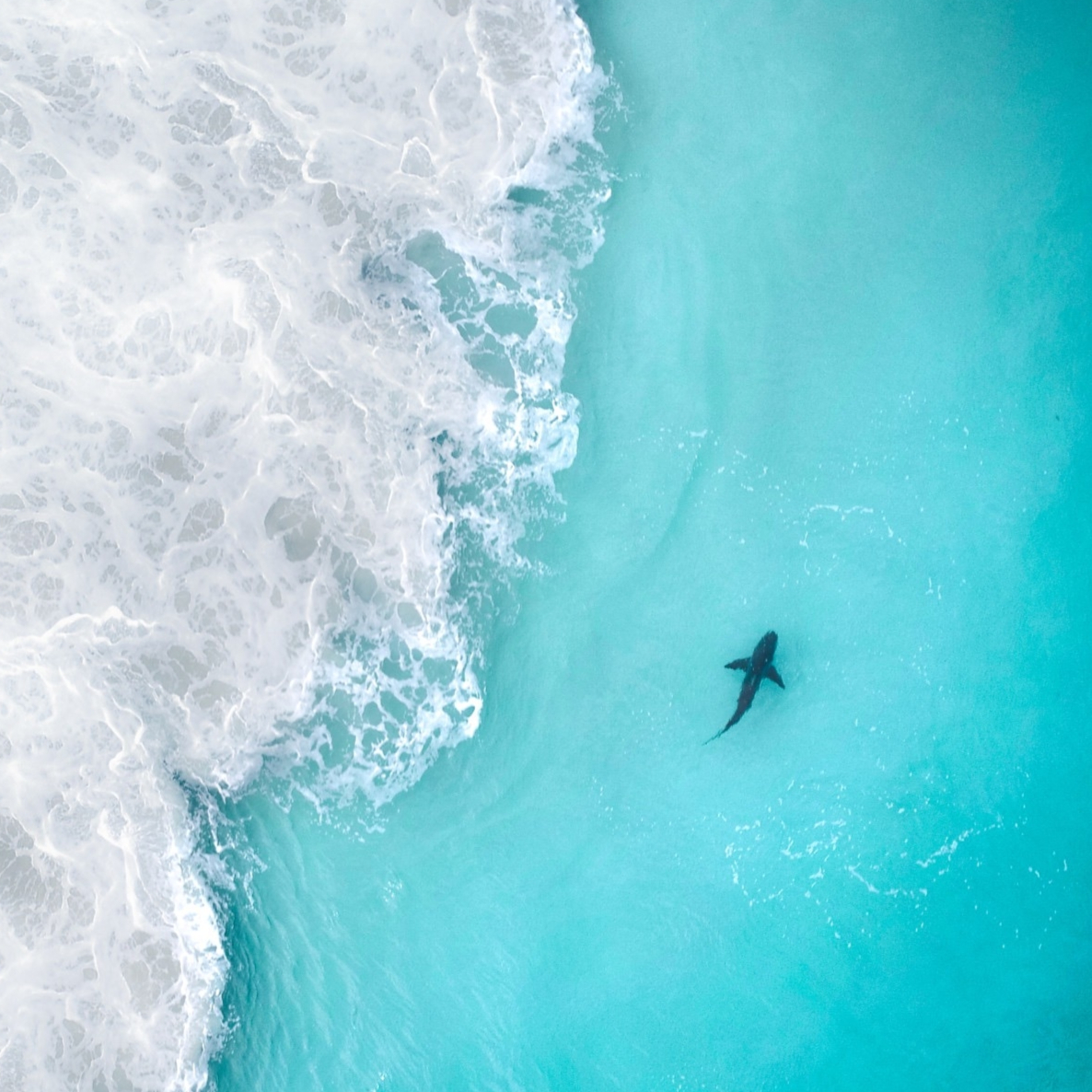 醉卧清涧细听雨 