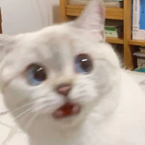 新人优批 