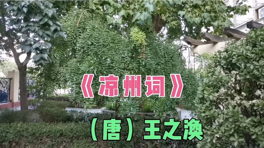 《凉州词》(唐)王之涣