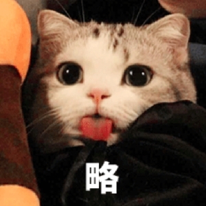 旺仔酸奶猫 