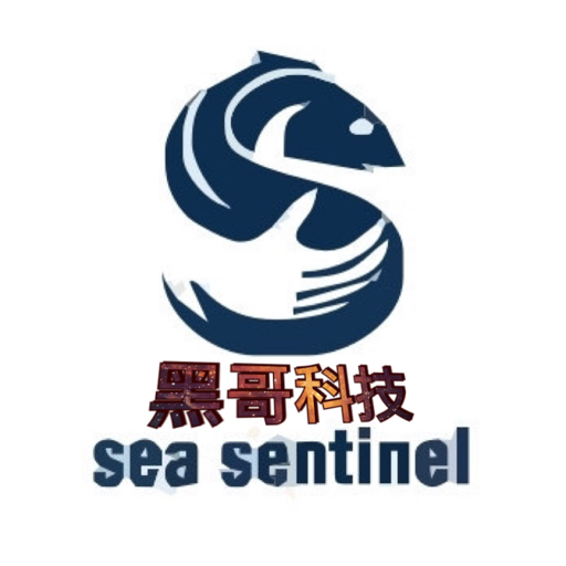 深圳飞扬数码优品 