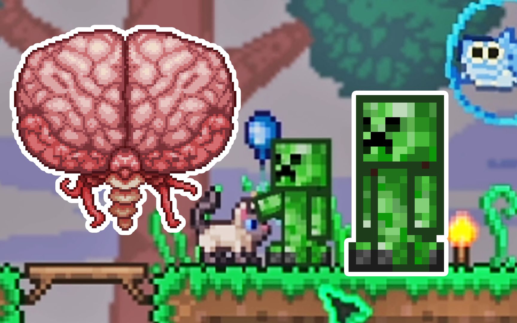 我的世界的苦力怕不怕猫?不仅养猫还会撸猫!泰拉瑞亚11