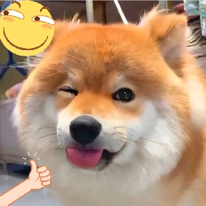 小明慢吞吞 