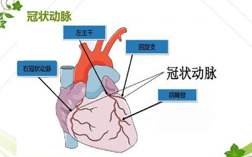冠脉支架进入千元时代,国家帮砍价,每年百万人需求,大大减轻群众医药...