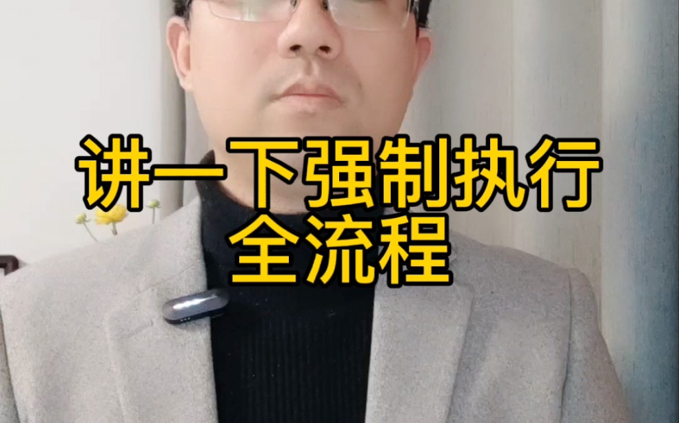 讲一下强制执行全流程#强制执行#执行#执行程序