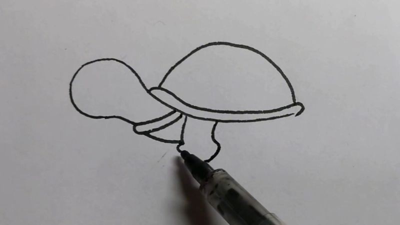 简笔画:可爱的小乌龟来了
