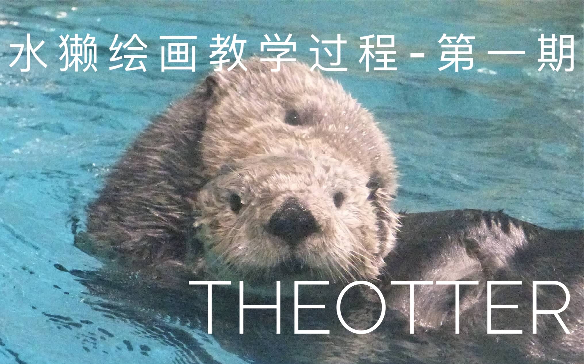 【水獭手绘教程】新手绘画教程入门小仙女汉服萌妹子线稿手把手教【...