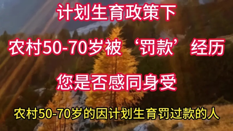 农村计划生育往事重现,曾受罚者速看,这段历史如何影响你的今