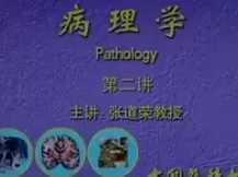 病理学(2)细胞,组织损伤